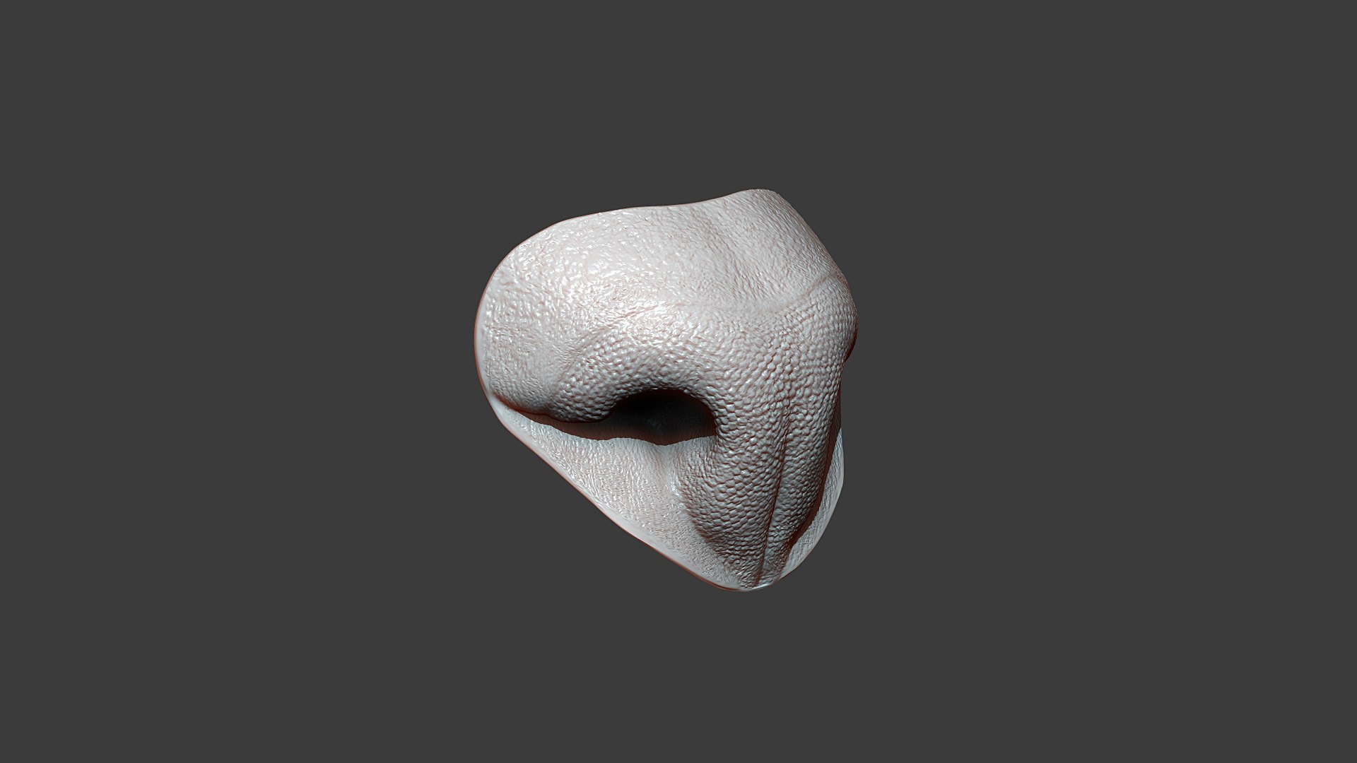 3d nose reference
