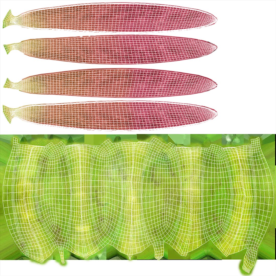 Flying Seed Diptocarpus Alatus Model - TurboSquid 1955283