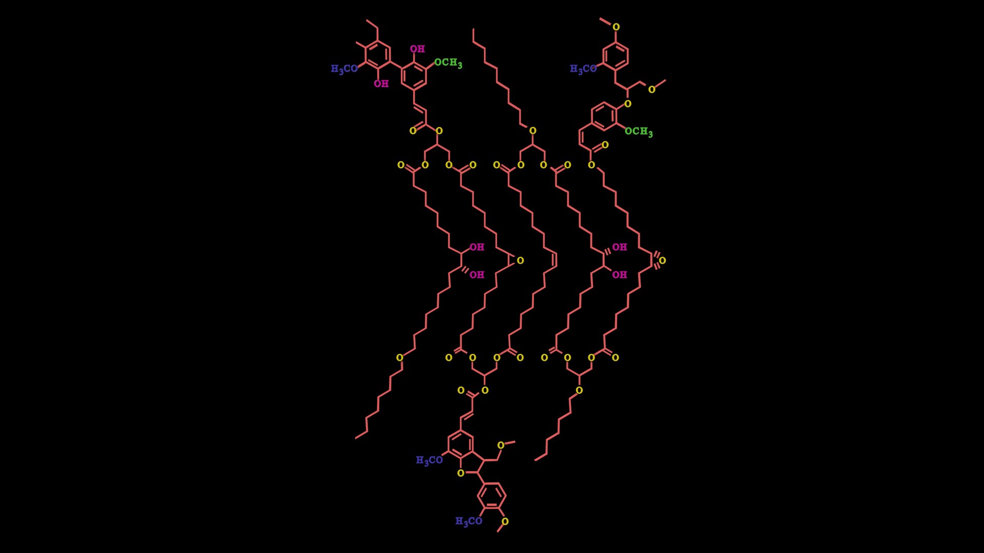 Suberin Structure Model - TurboSquid 2195190