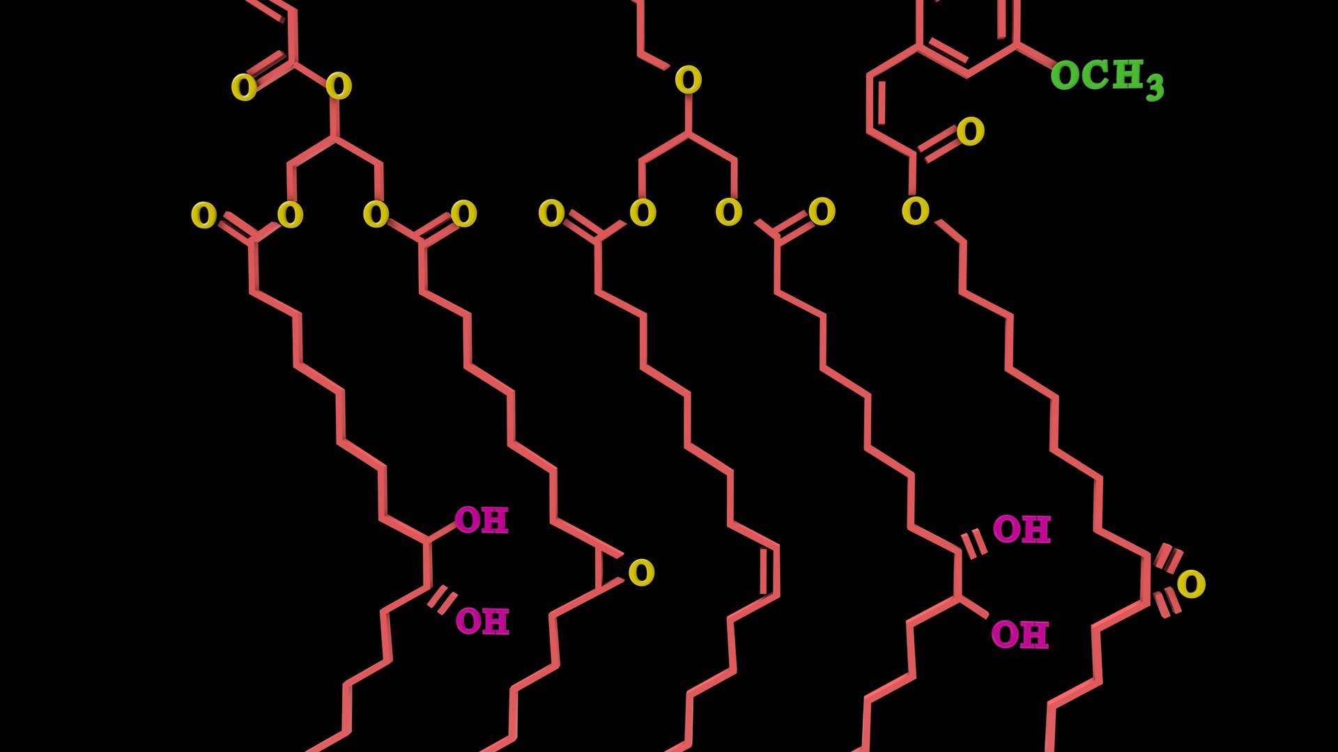 Suberin Structure Model - TurboSquid 2195190