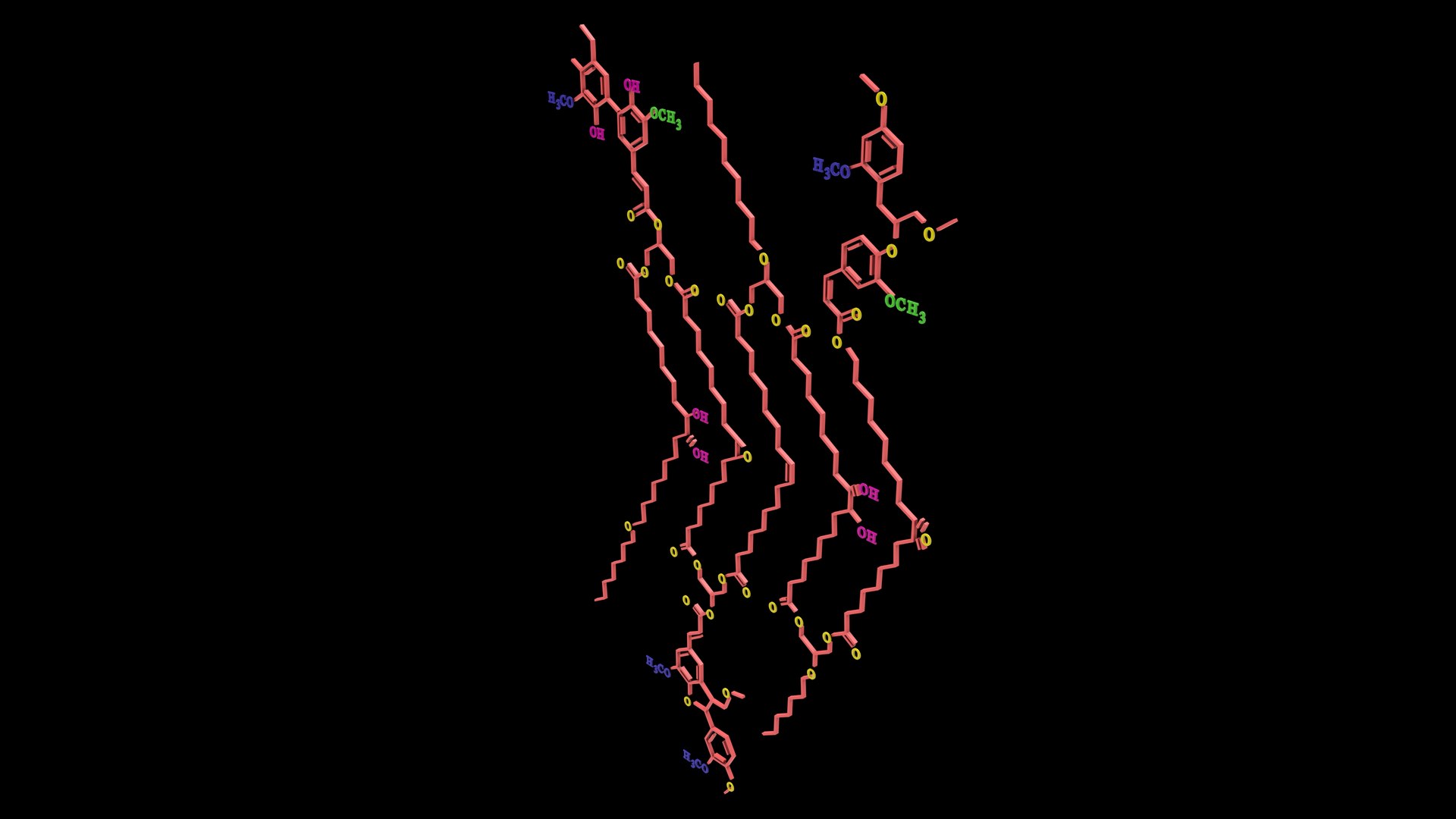 Suberin Structure Model - TurboSquid 2195190