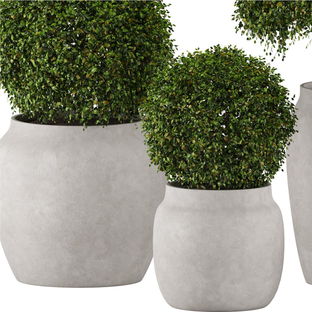 Set 4 indoor and outdoor Aglaia odorata planters 3D model - TurboSquid ...