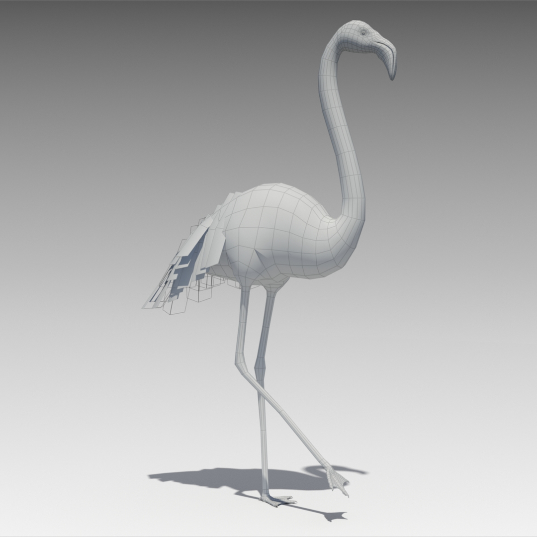3d model flamingo animations
