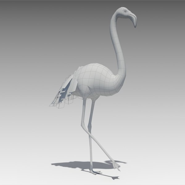 3d model flamingo animations