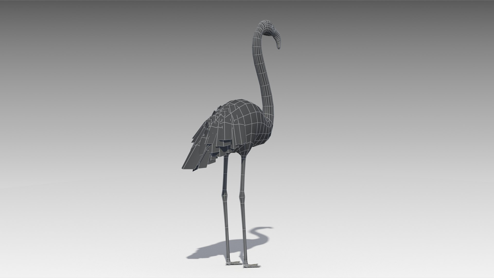 3d Model Flamingo Animations