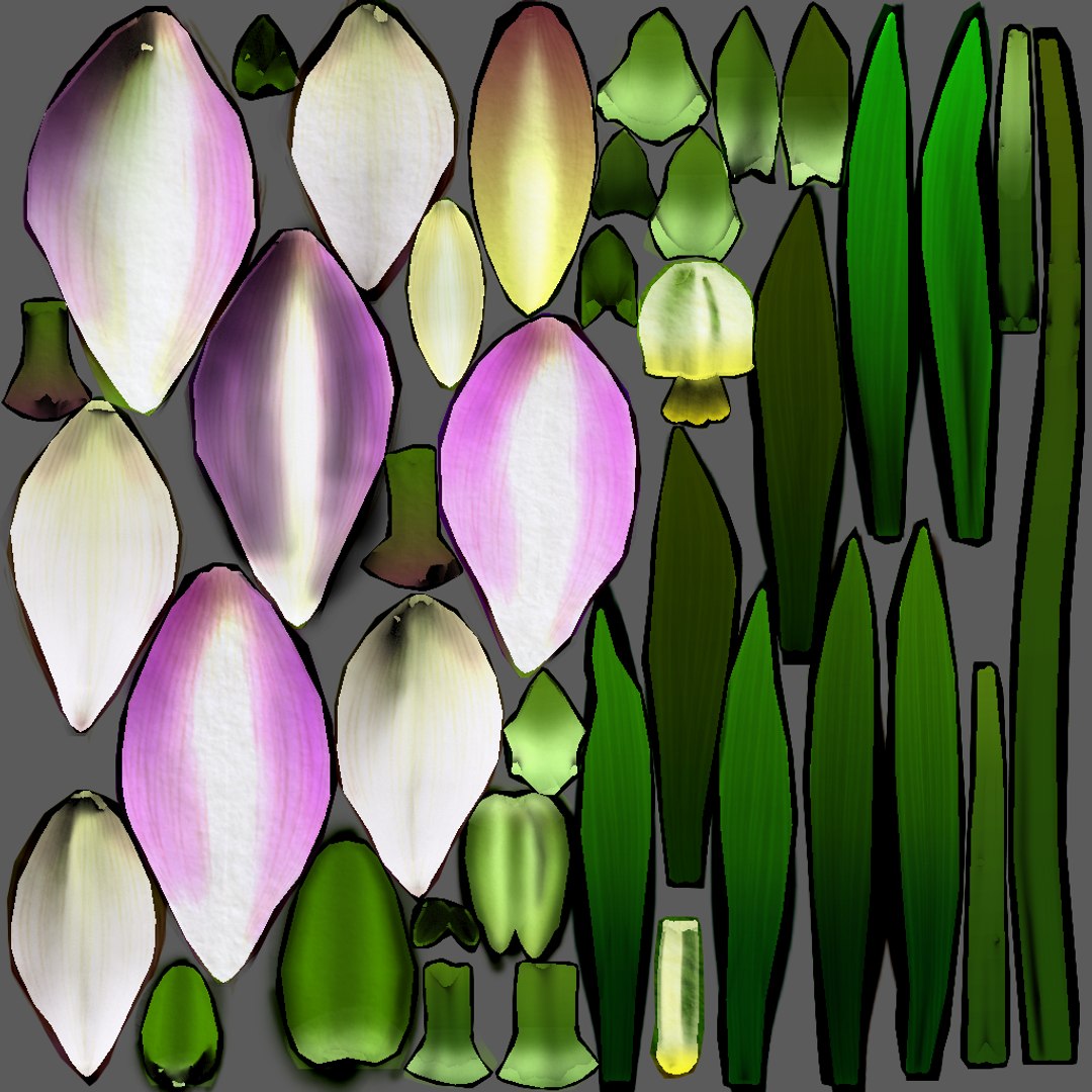 Flower EL Salvador Model - TurboSquid 2131618