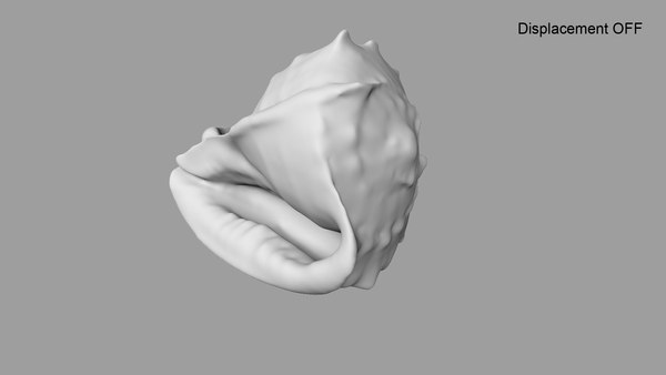 3D Conch Shell - TurboSquid 1770187