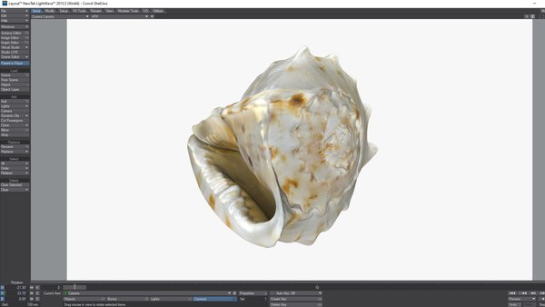 3D Conch Shell - TurboSquid 1770187
