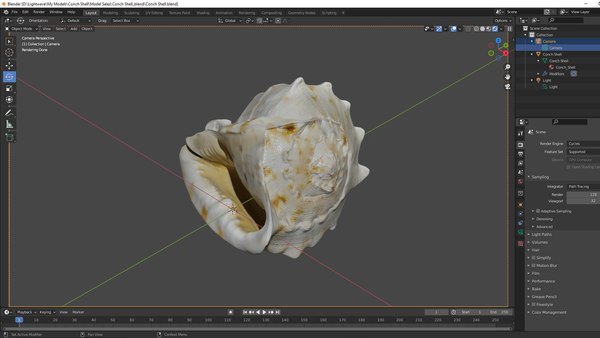 3D Conch Shell - TurboSquid 1770187