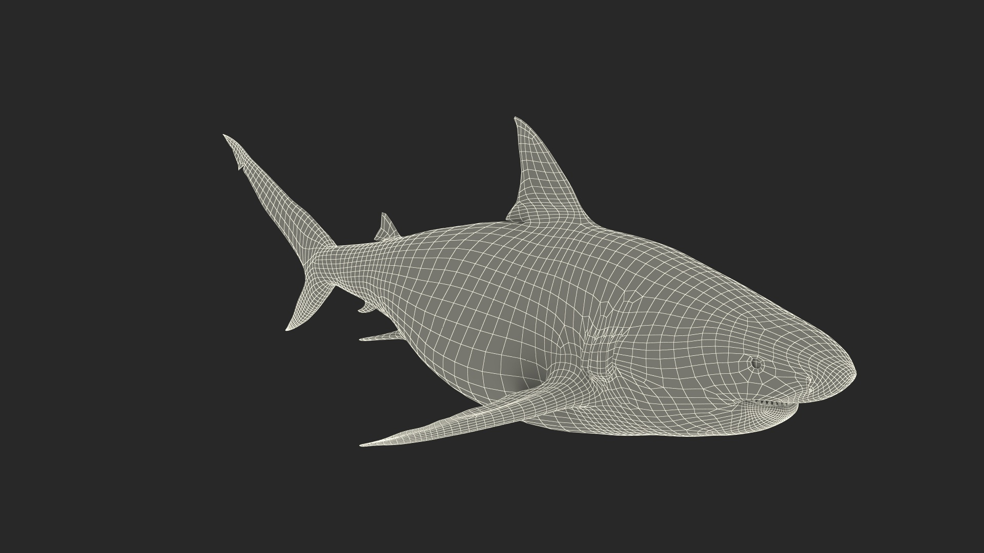 3D Java Shark - TurboSquid 2228898