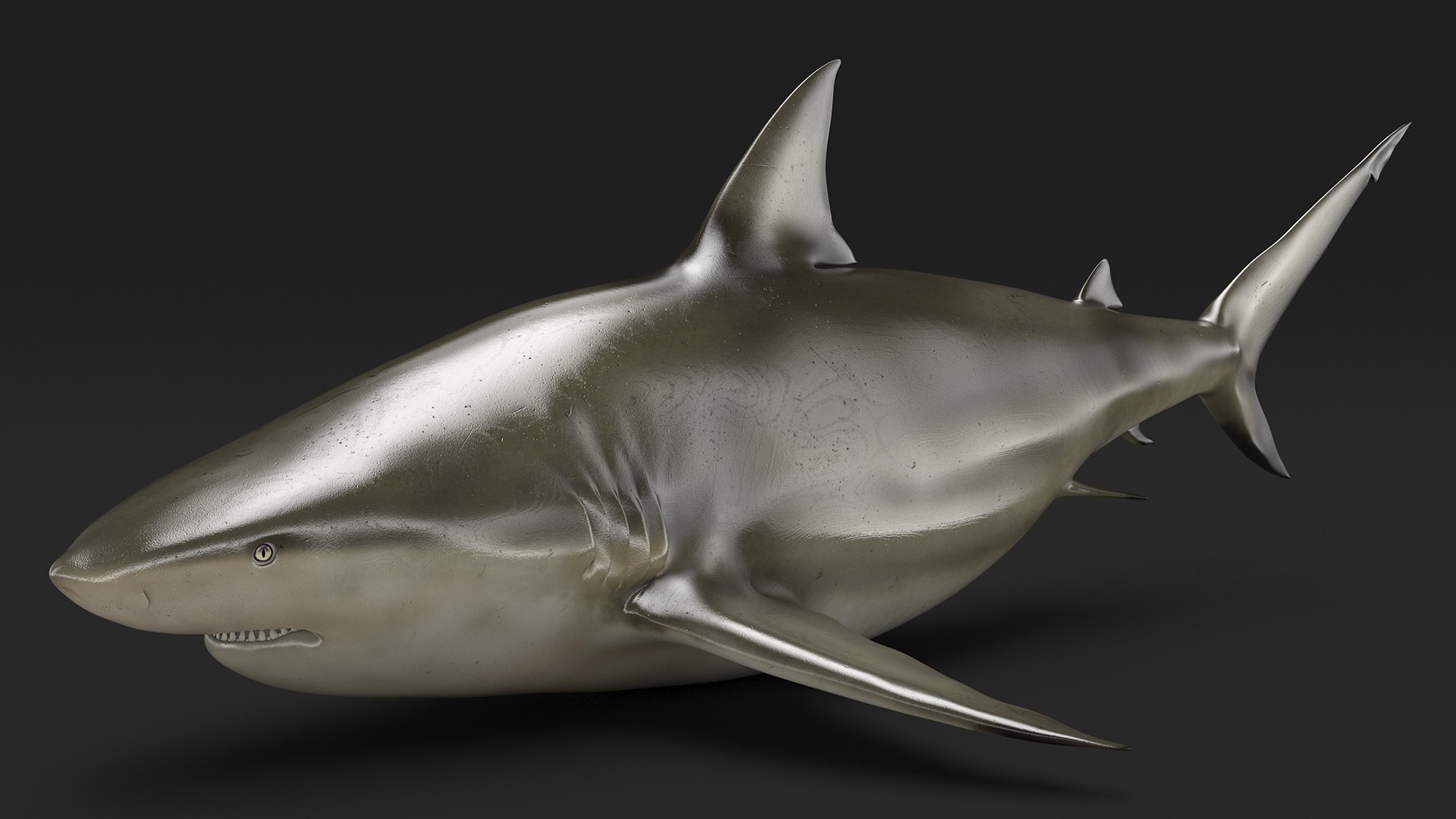 3D Java Shark - TurboSquid 2228898