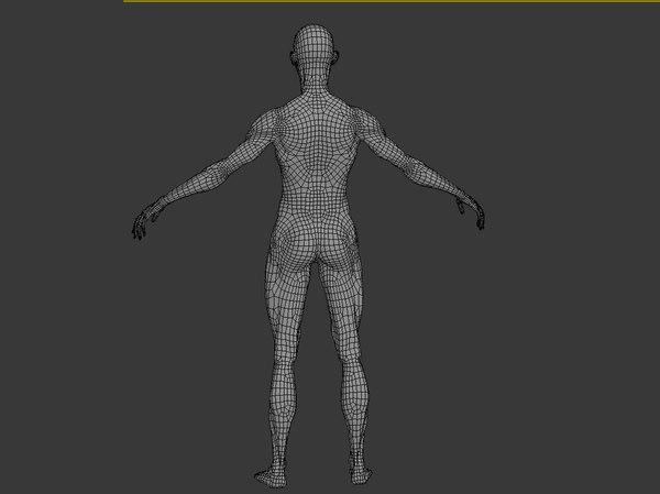 3D Ecorche anatomy model - TurboSquid 1859629