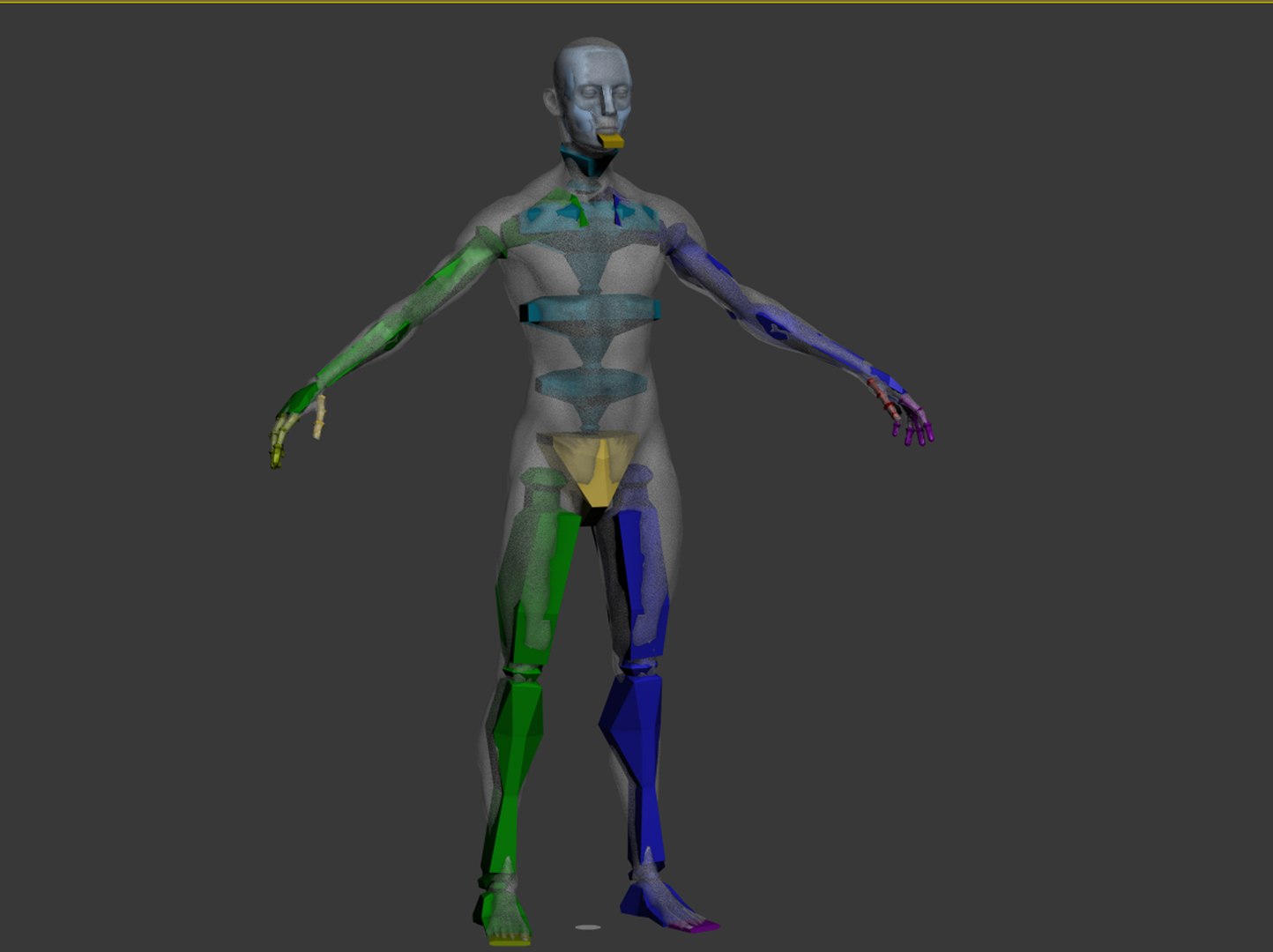3D Ecorche Anatomy Model - TurboSquid 1859629