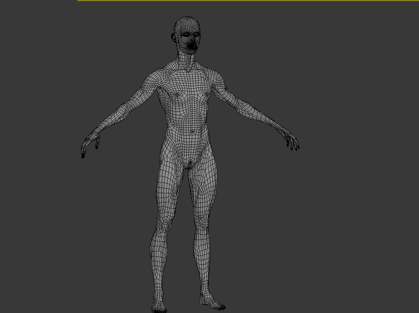 3D Ecorche Anatomy Model - TurboSquid 1859629