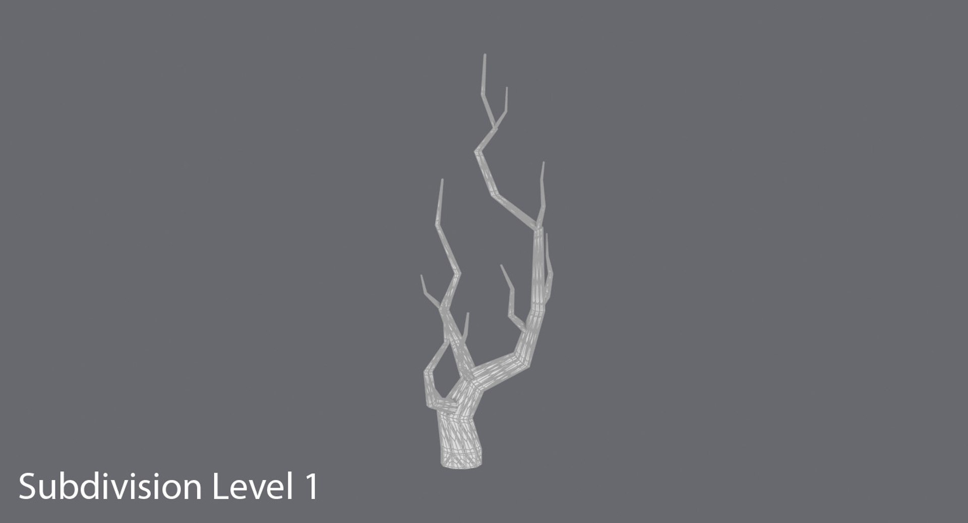 3d Model Bare Desert Tree 01