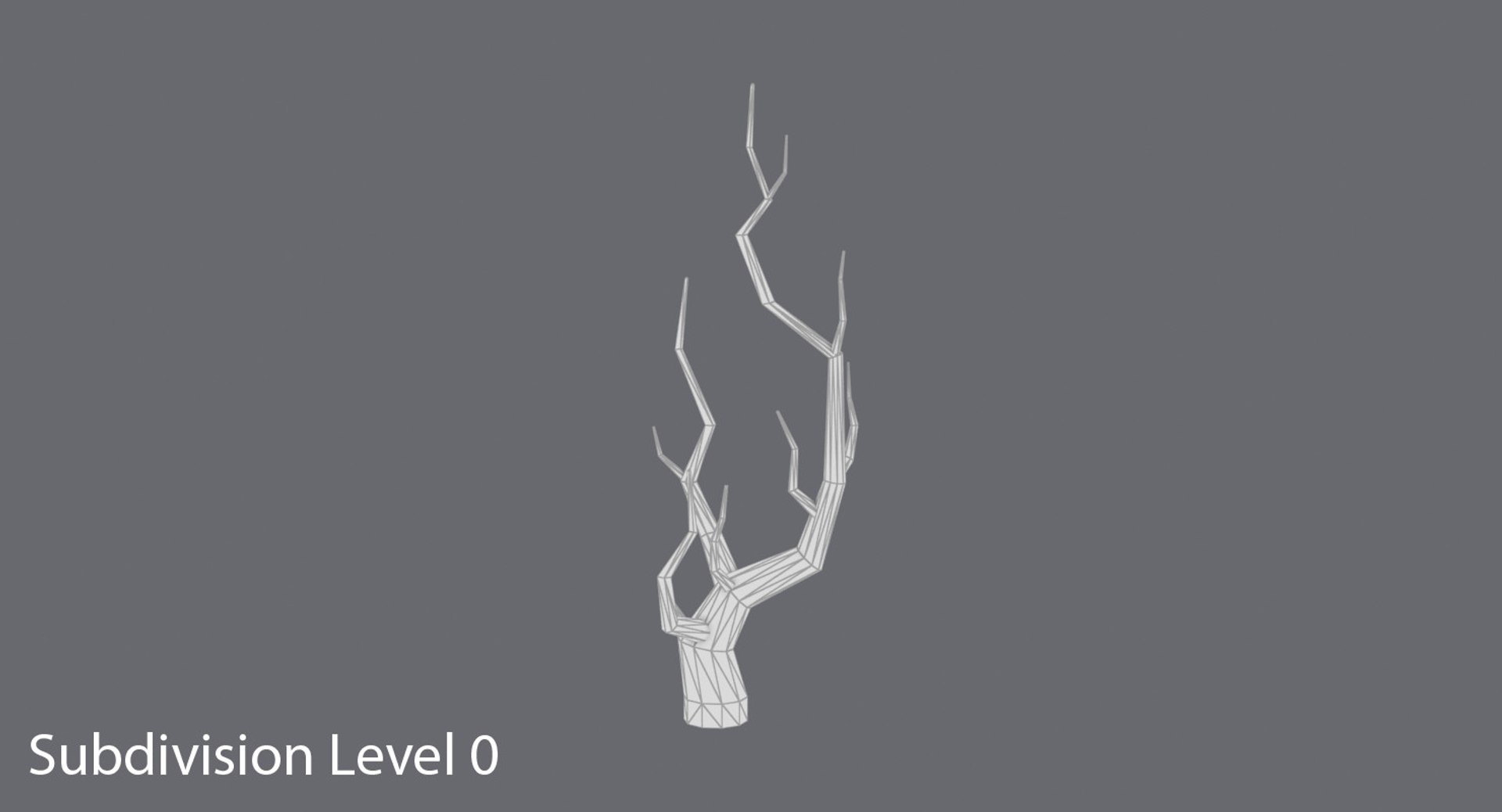 3d Model Bare Desert Tree 01