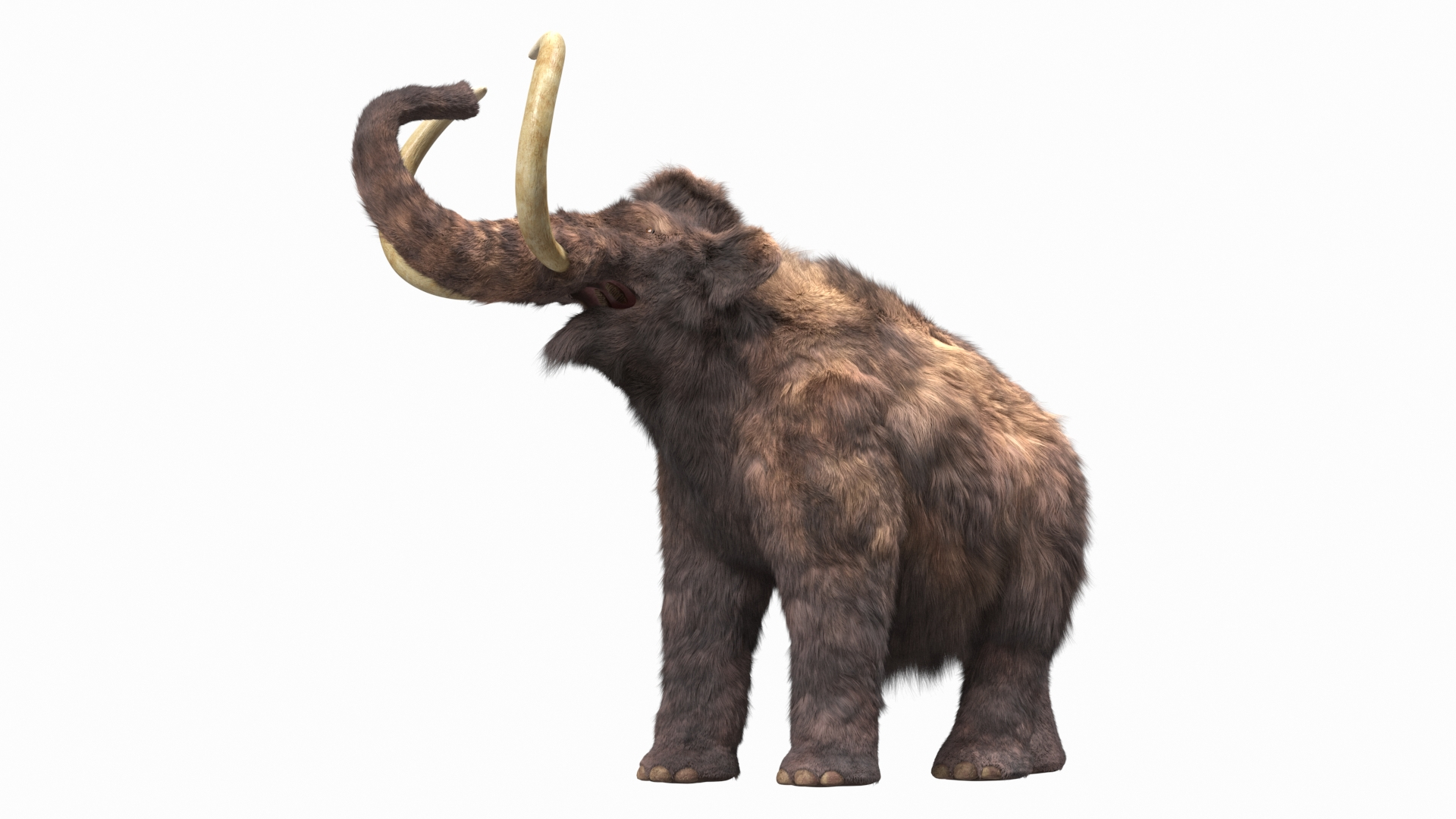 3D Mammoth Adult Roar Pose Fur - TurboSquid 1801998