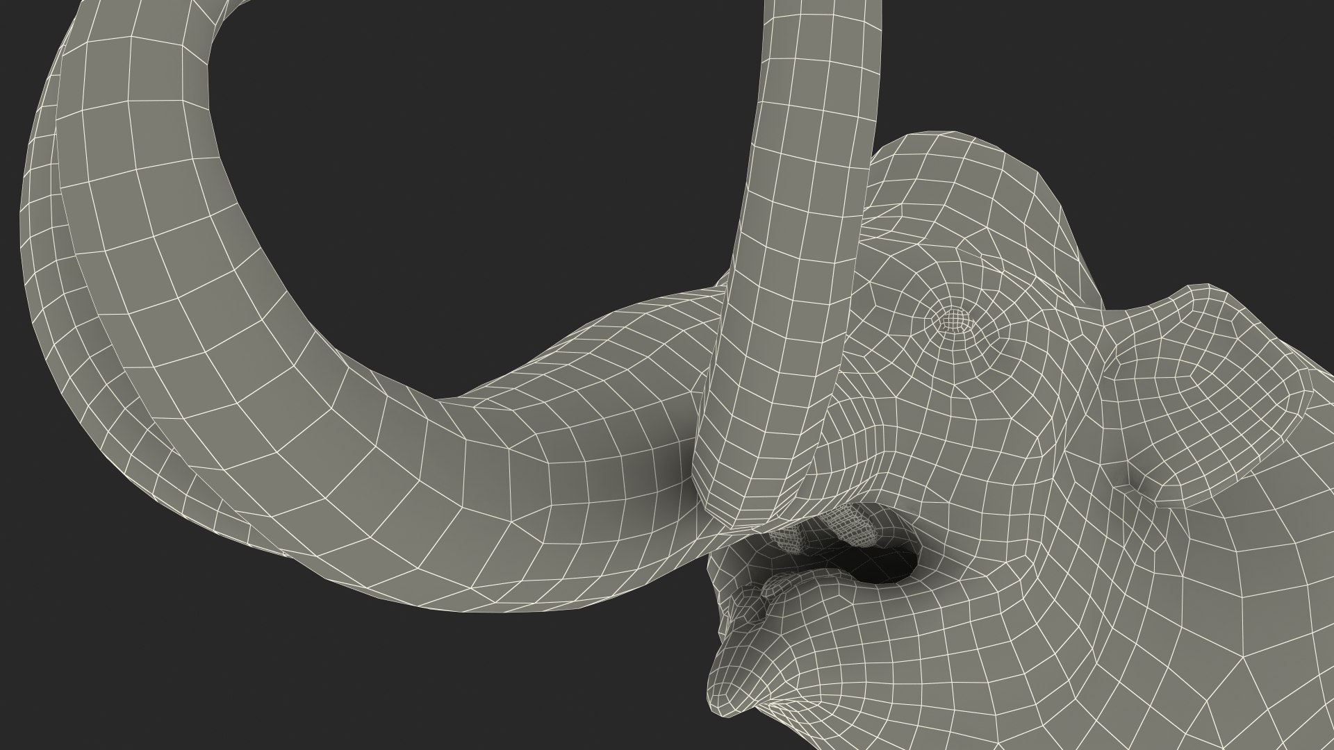 3D Mammoth Adult Roar Pose Fur - TurboSquid 1801998