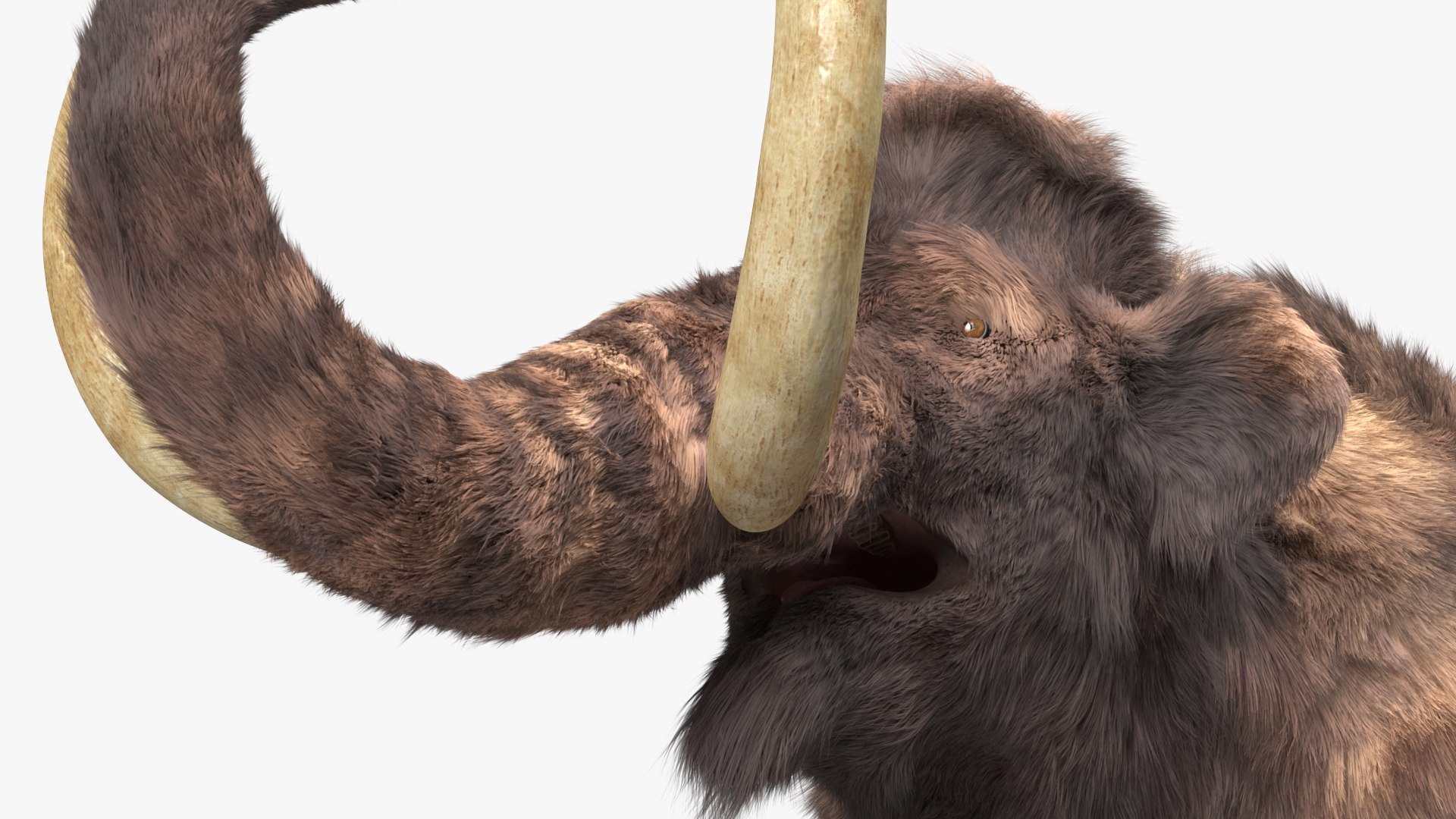 3D Mammoth Adult Roar Pose Fur - TurboSquid 1801998