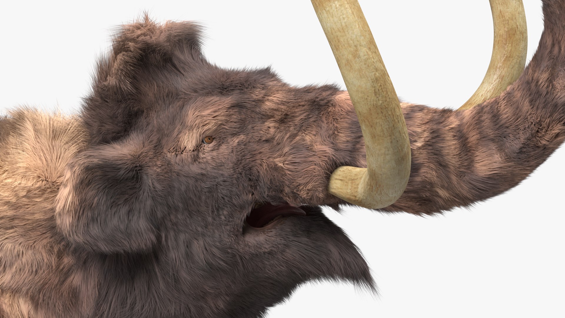 3D Mammoth Adult Roar Pose Fur - TurboSquid 1801998