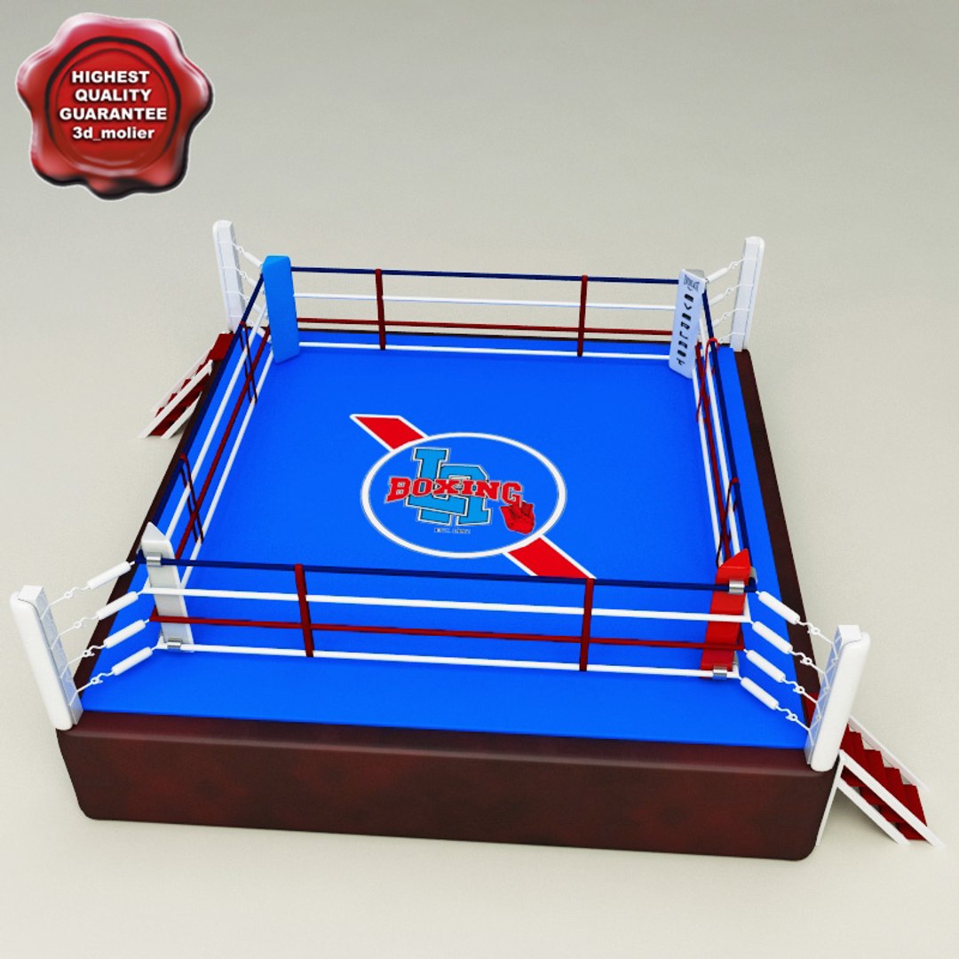 Boxing V2 3d Model