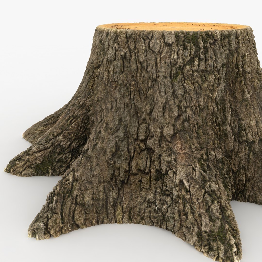 3d Model Of Tree Stump
