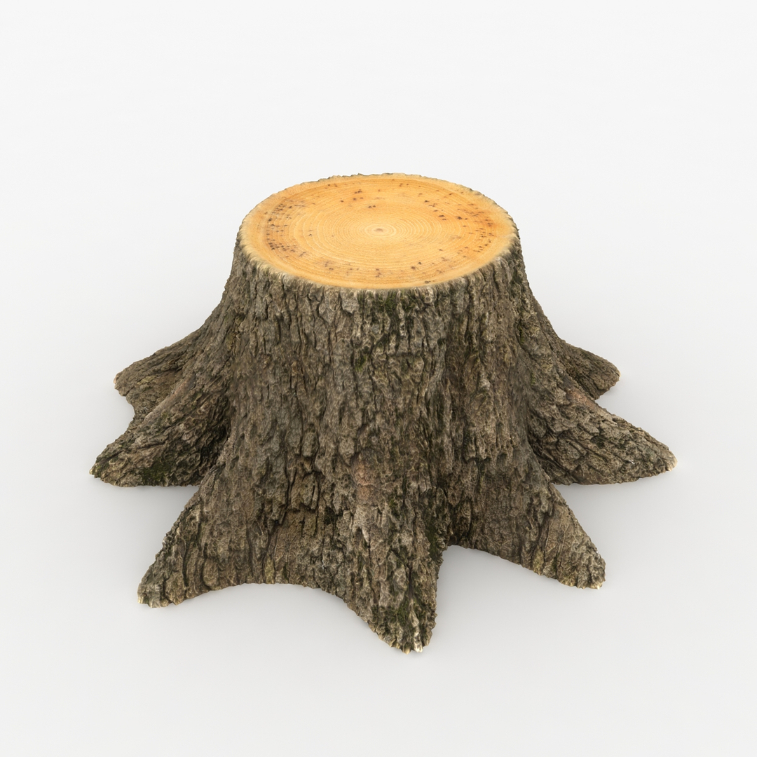 3d Model Of Tree Stump