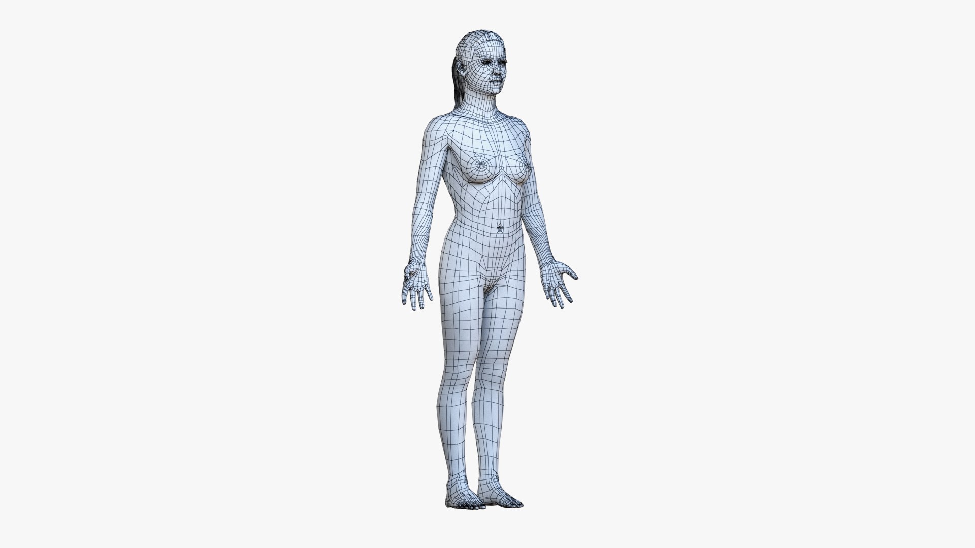 3D Human Female Body Polys Model - TurboSquid 1523958