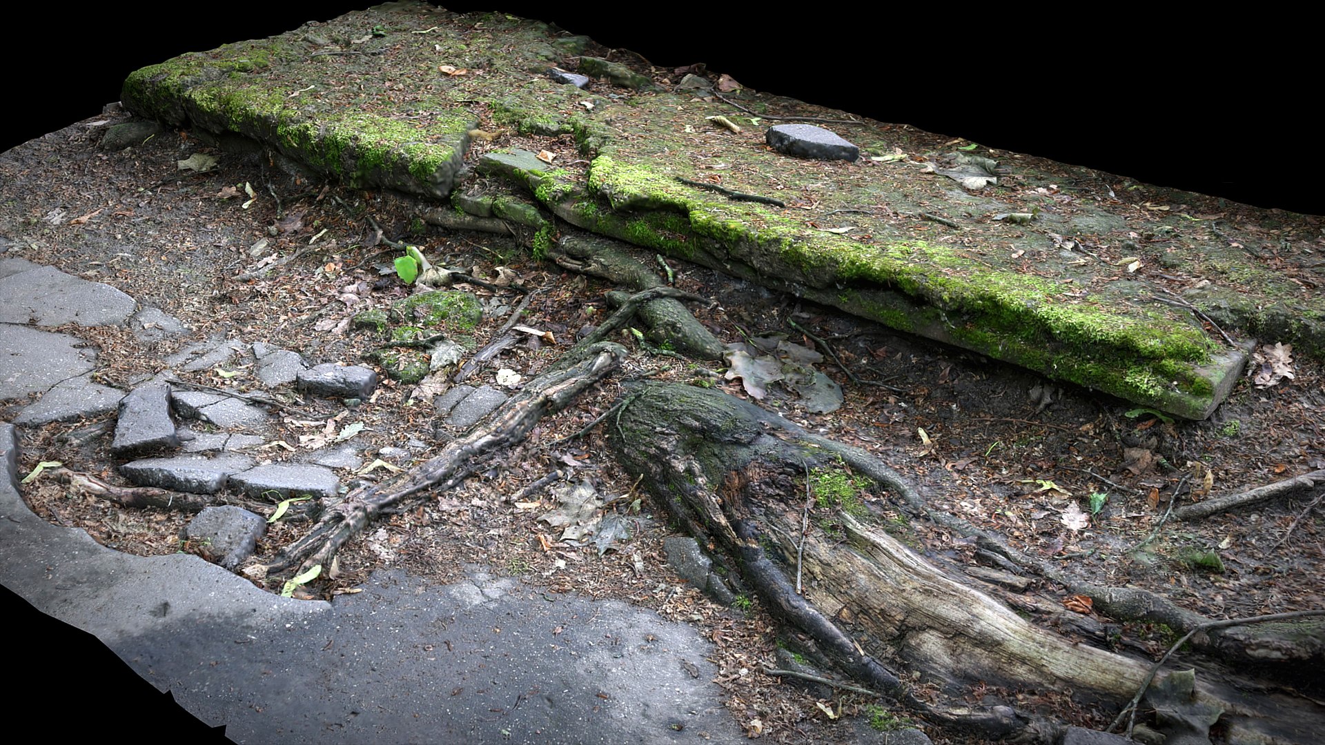 Ancient Ruins Arch-element Moss Debris Photogrammetry 3D - TurboSquid ...