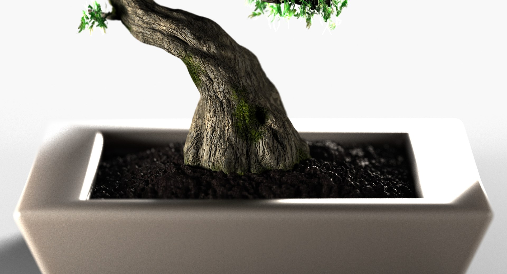 3D Bonsai Tree Model - TurboSquid 1260815