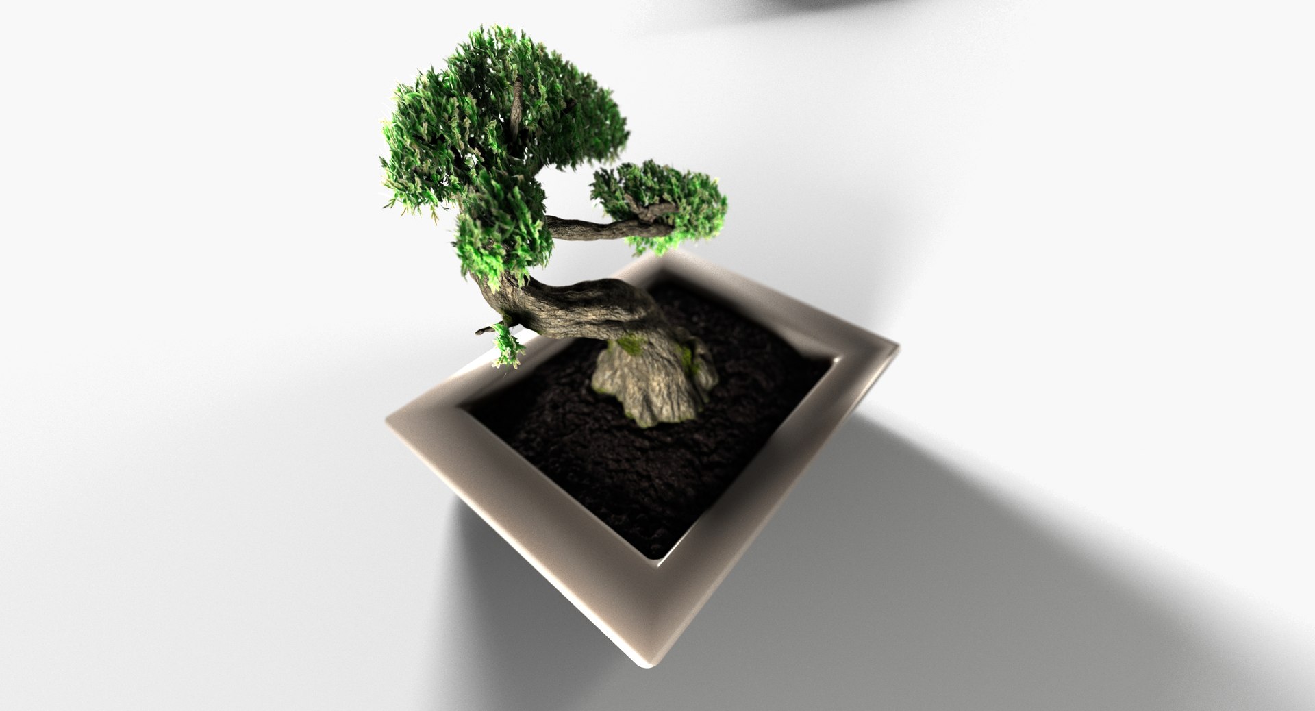 3D Bonsai Tree Model - TurboSquid 1260815