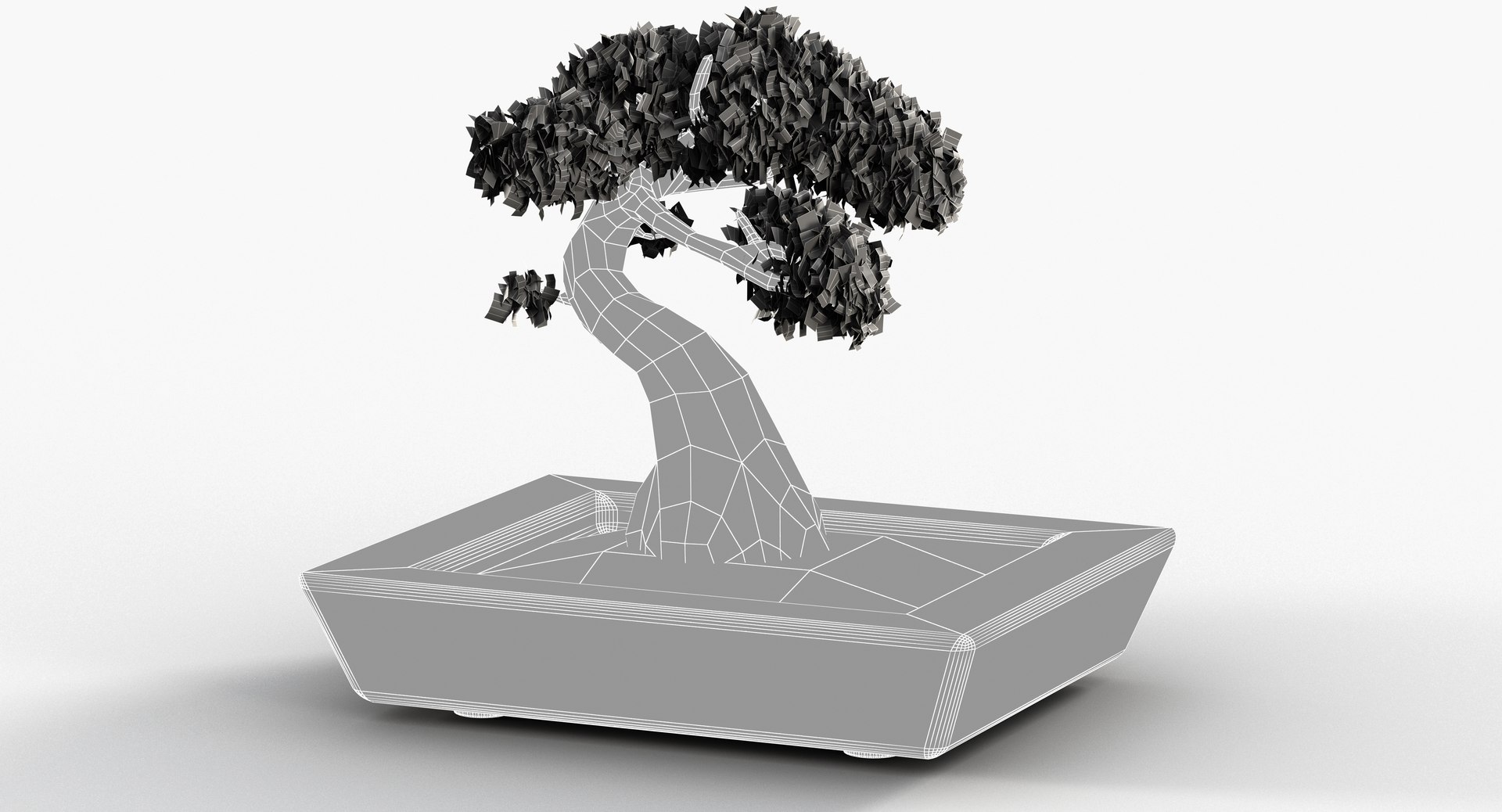 3D Bonsai Tree Model - TurboSquid 1260815