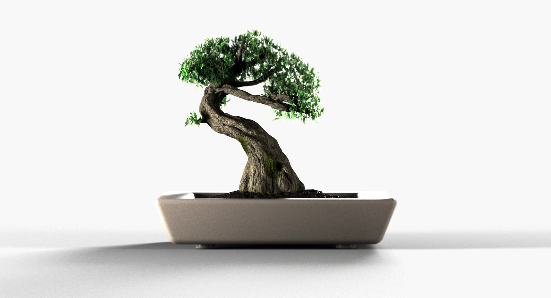 3D Bonsai Tree Model - TurboSquid 1260815