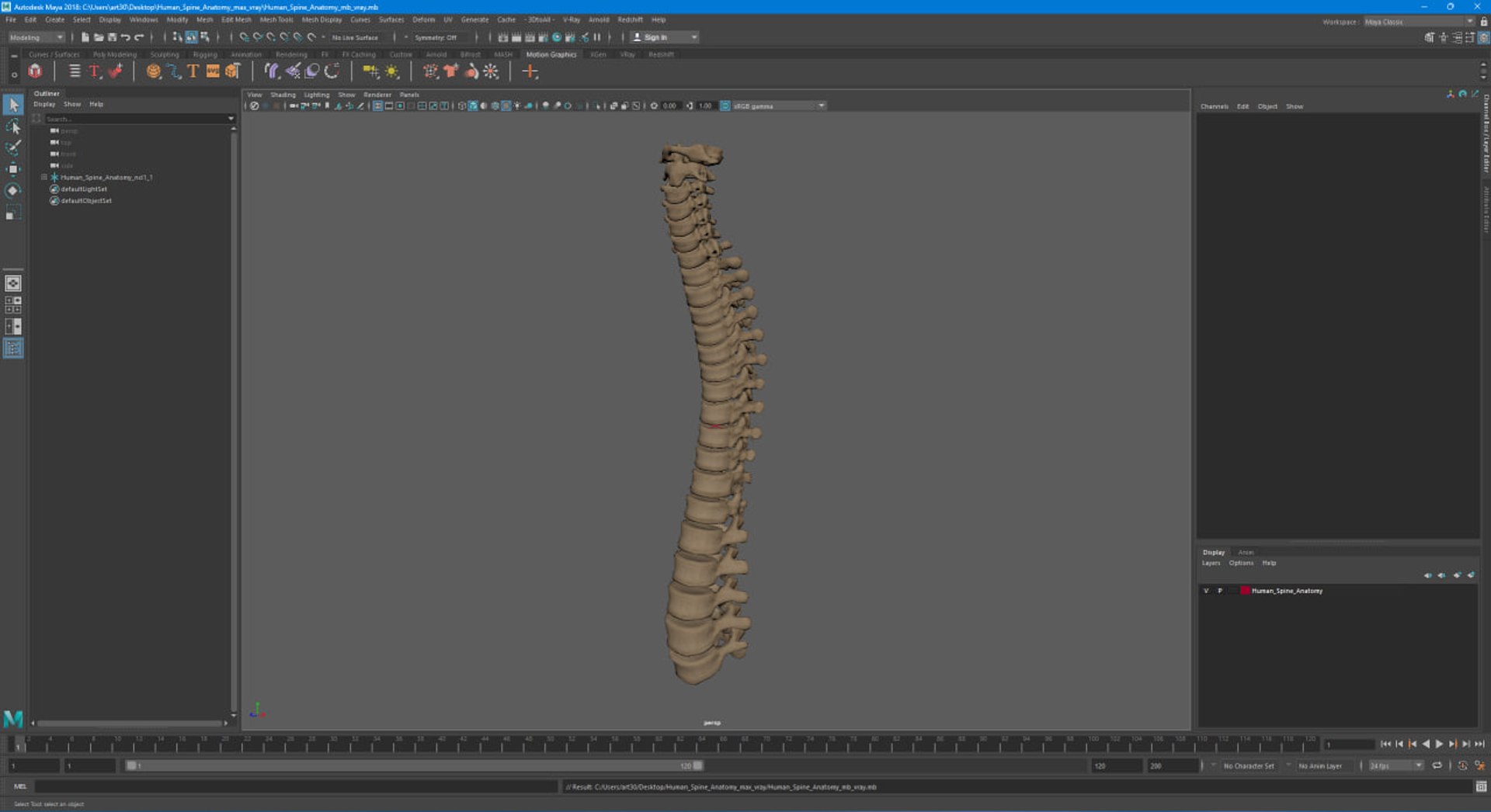 Human Spine Anatomy 3D Model - TurboSquid 2386235