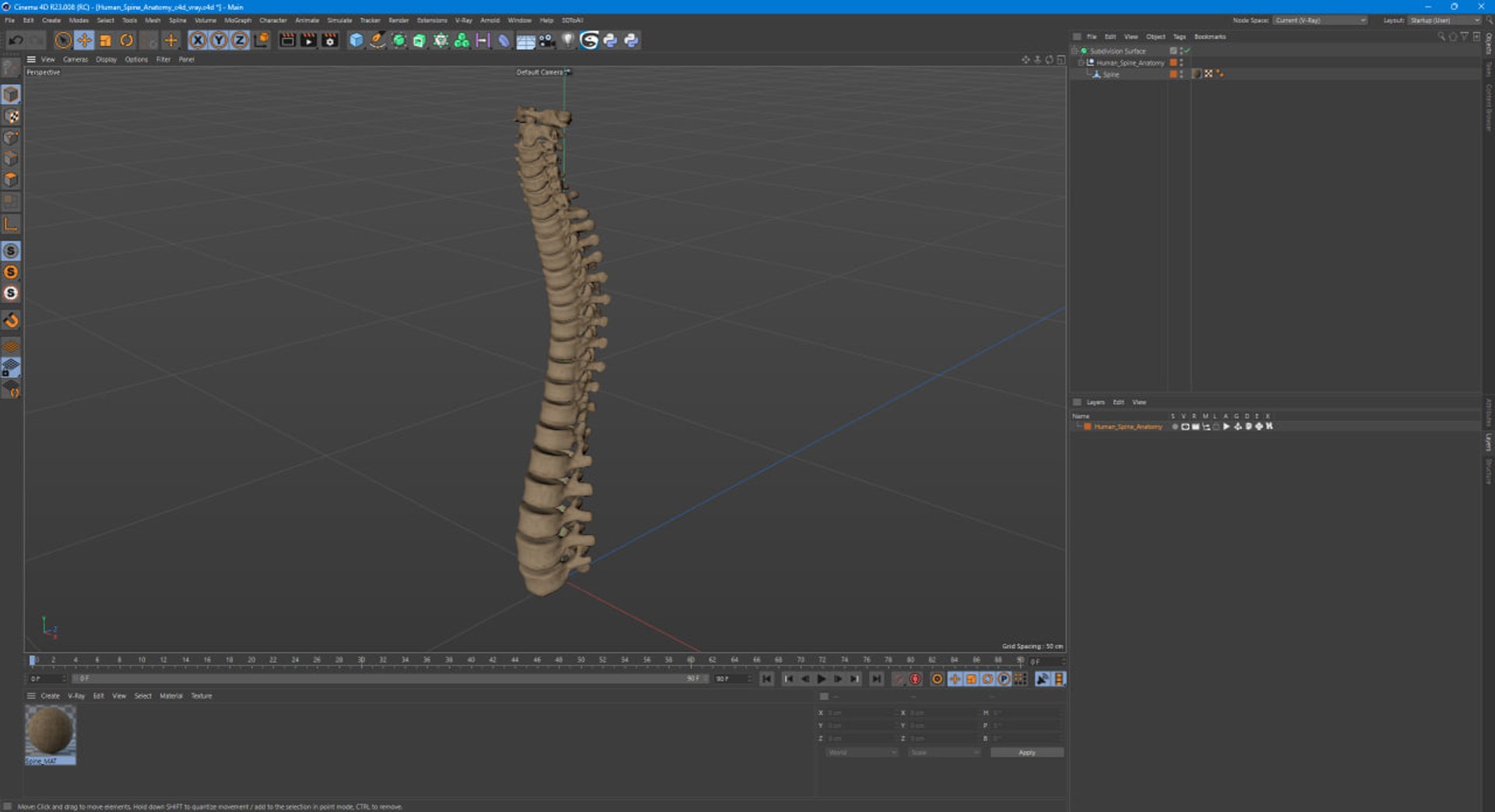Human Spine Anatomy 3D Model - TurboSquid 2386235