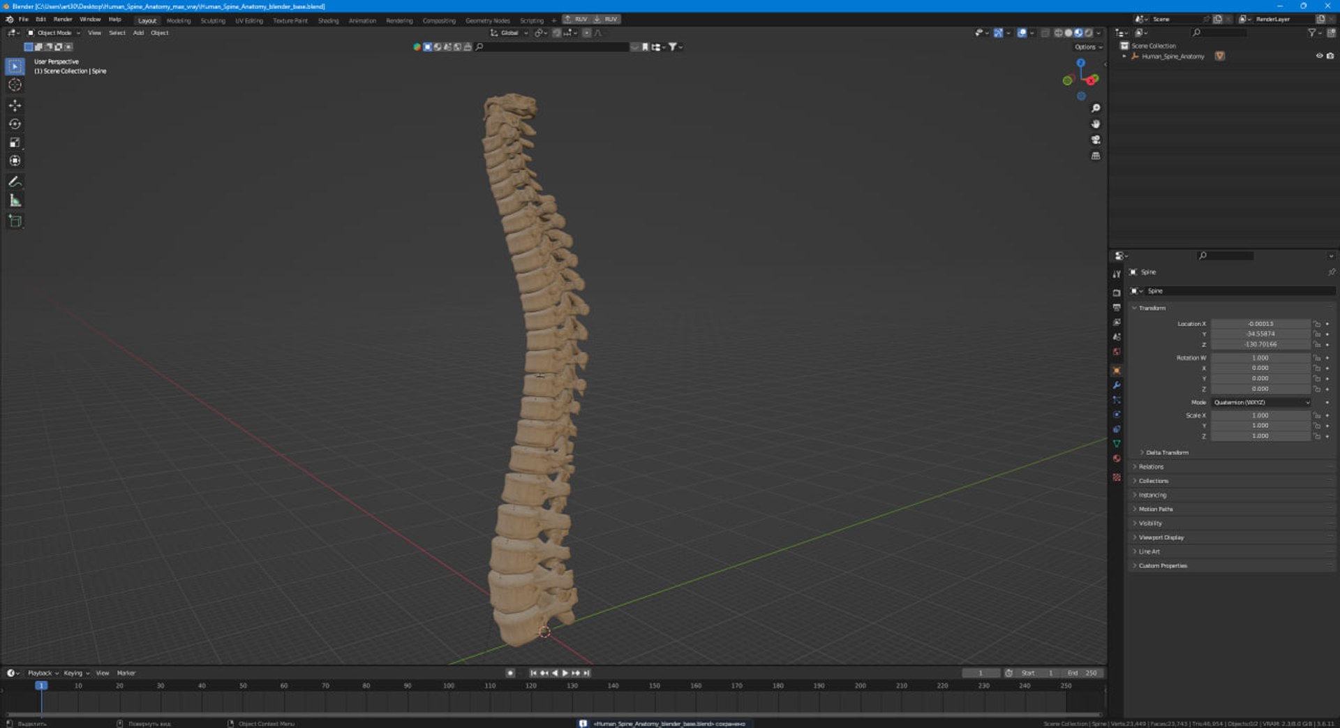 Human Spine Anatomy 3D Model - TurboSquid 2386235