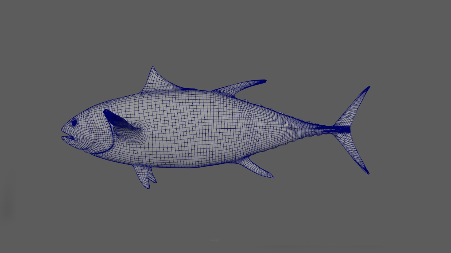 Tuna Rigged 3D - TurboSquid 1642519