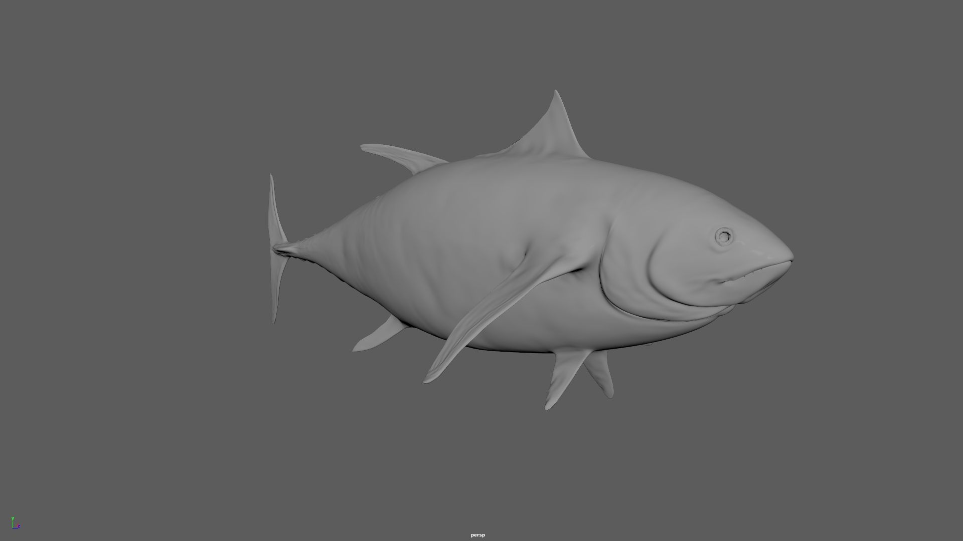 Tuna Rigged 3D - TurboSquid 1642519