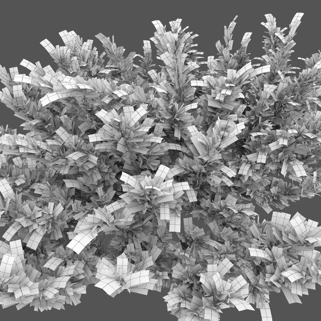 3D Model Juniper 1 Juniperus Sabina - TurboSquid 1527539