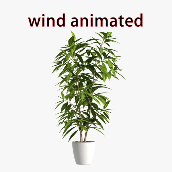 Animated Evergreen Tree 3D Models for Download | TurboSquid