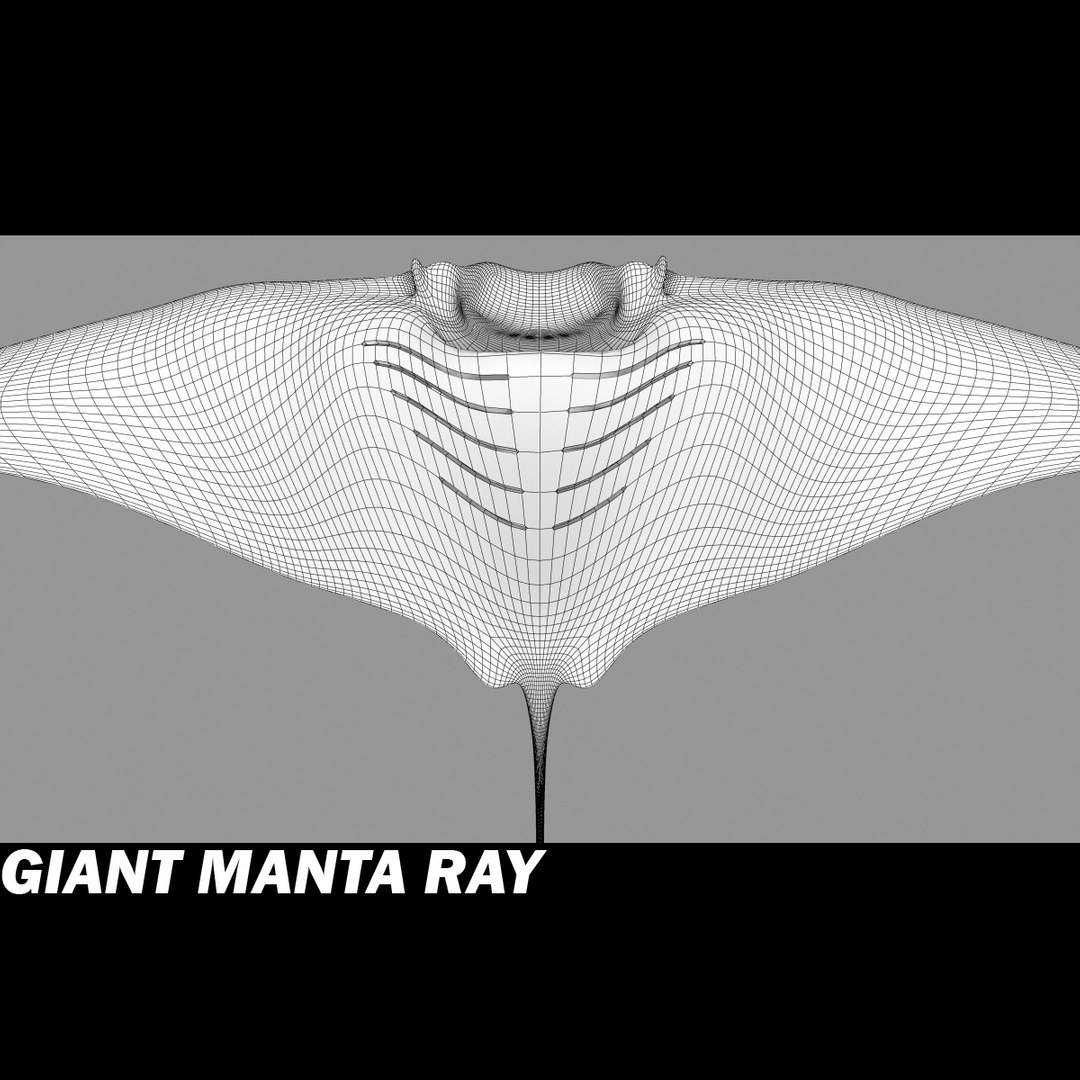 3ds Manta Giant
