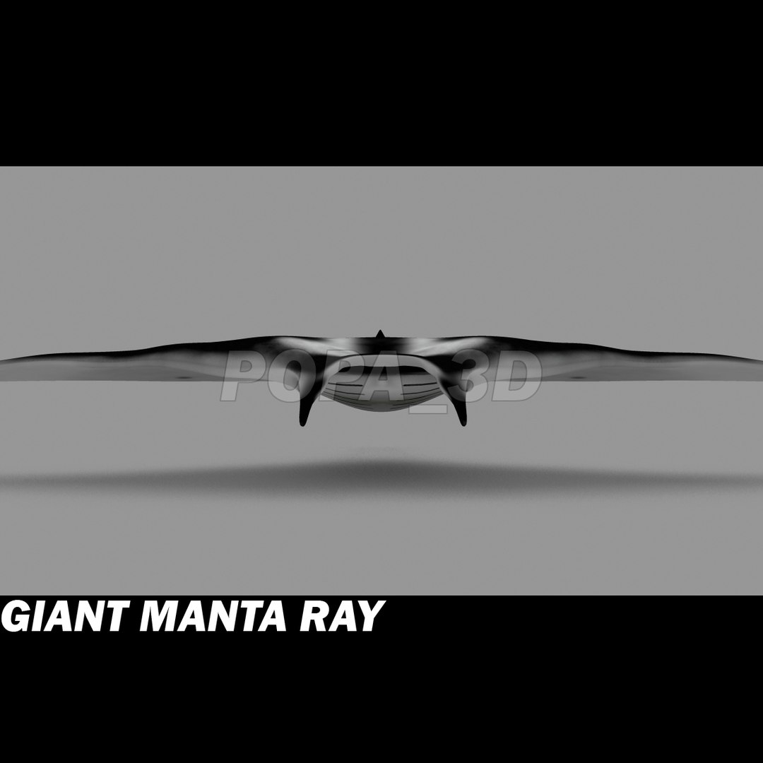 3ds Manta Giant