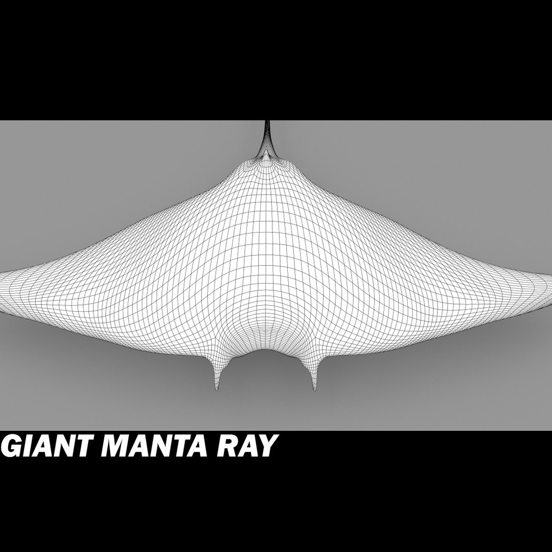 3ds Manta Giant
