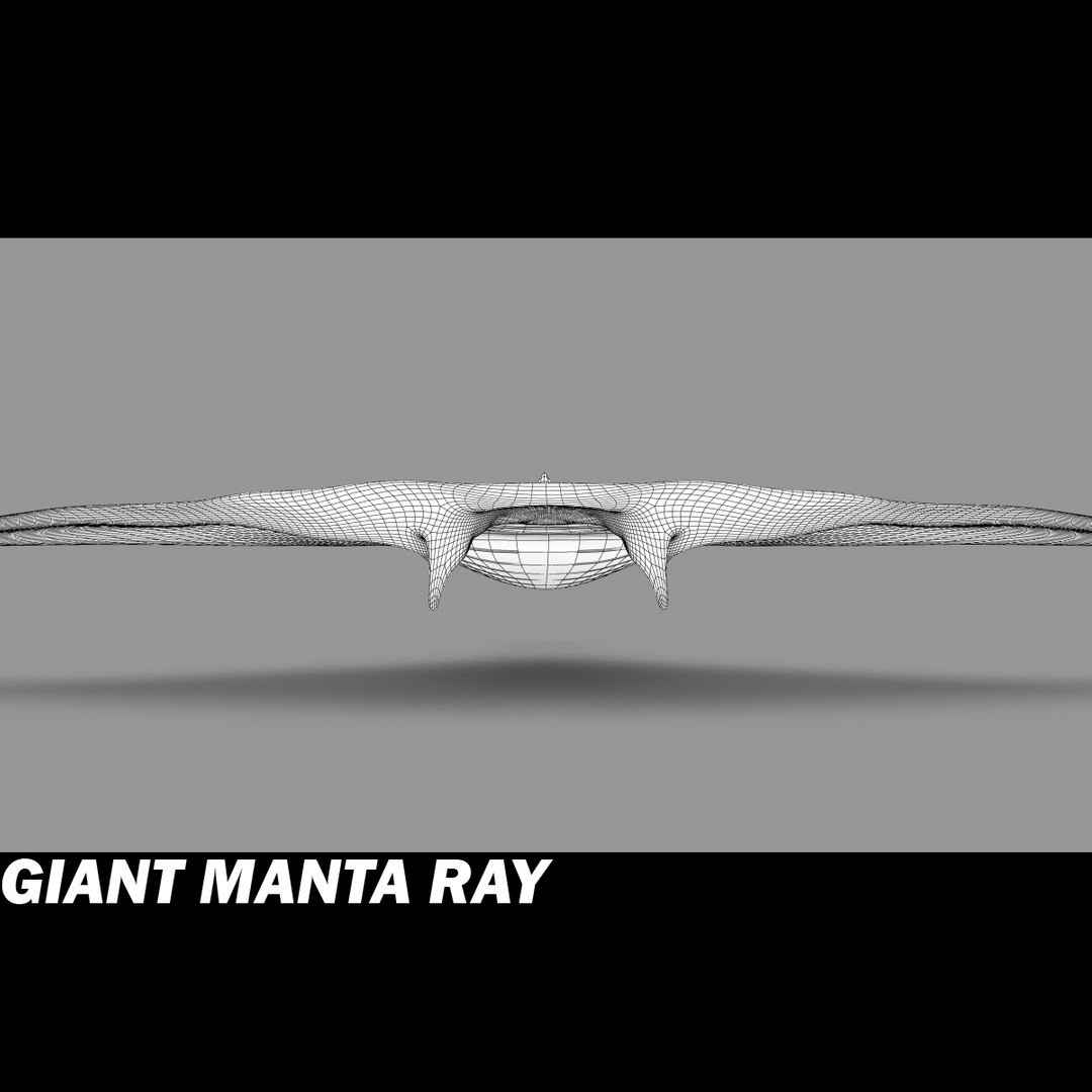 3ds Manta Giant