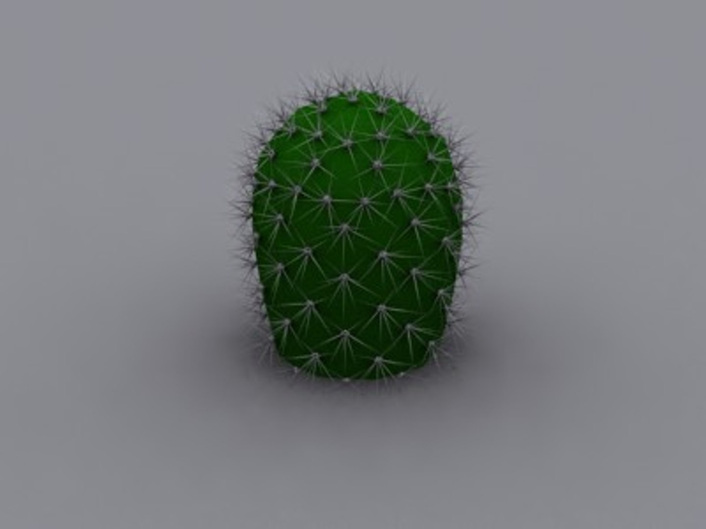 3d Model Of Cactus Plant