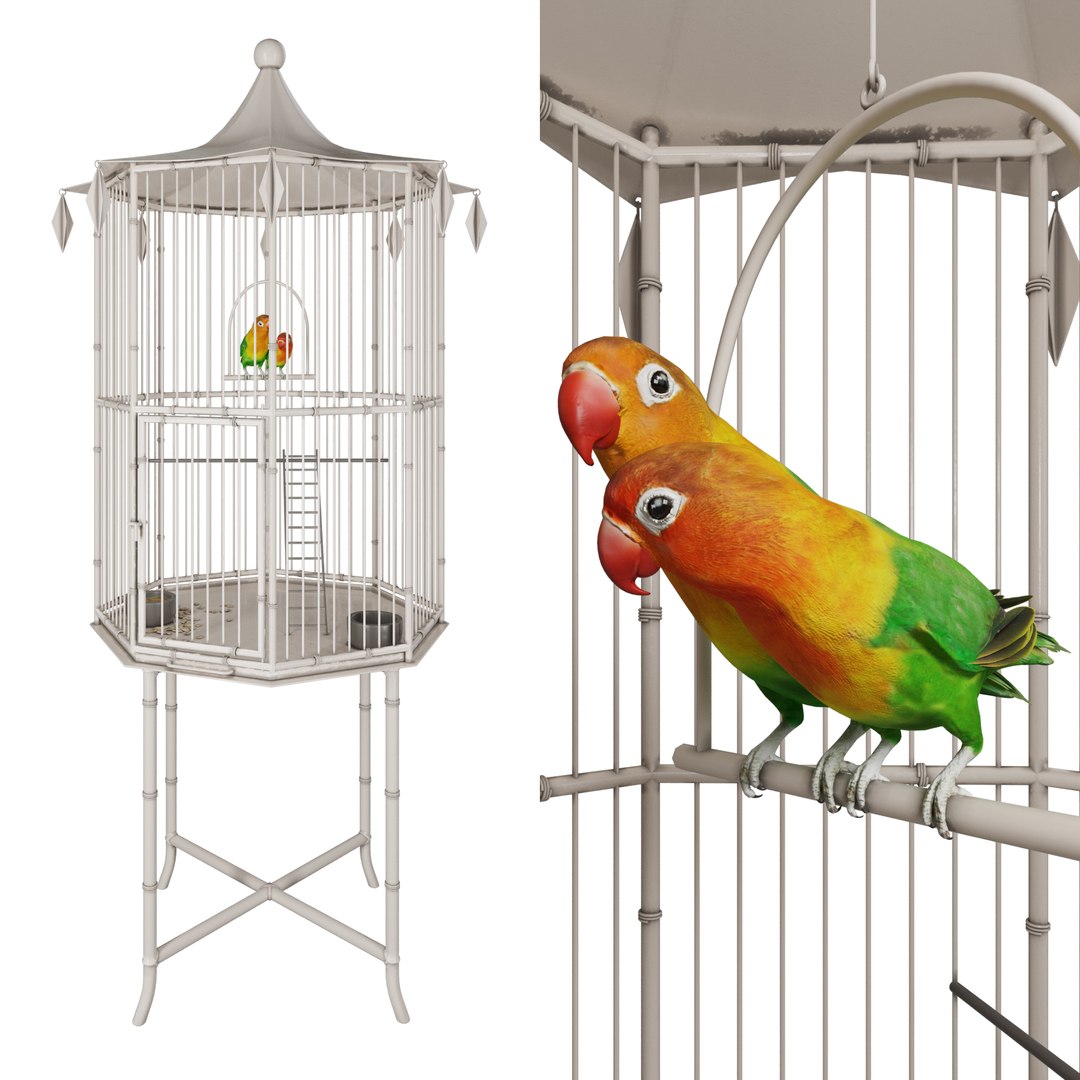 3D Cage Lovebirds Model - TurboSquid 1399897