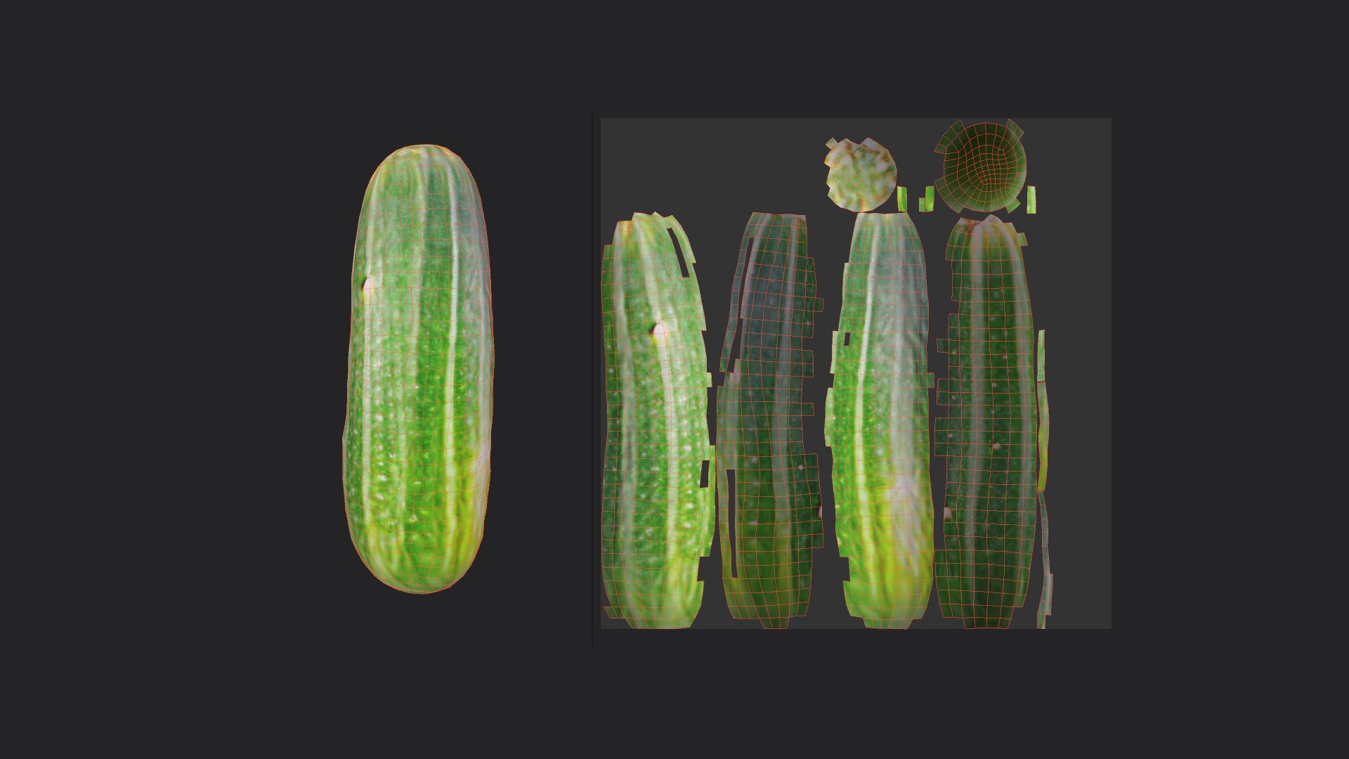 SMCucumbera001 3D Model - TurboSquid 2355227