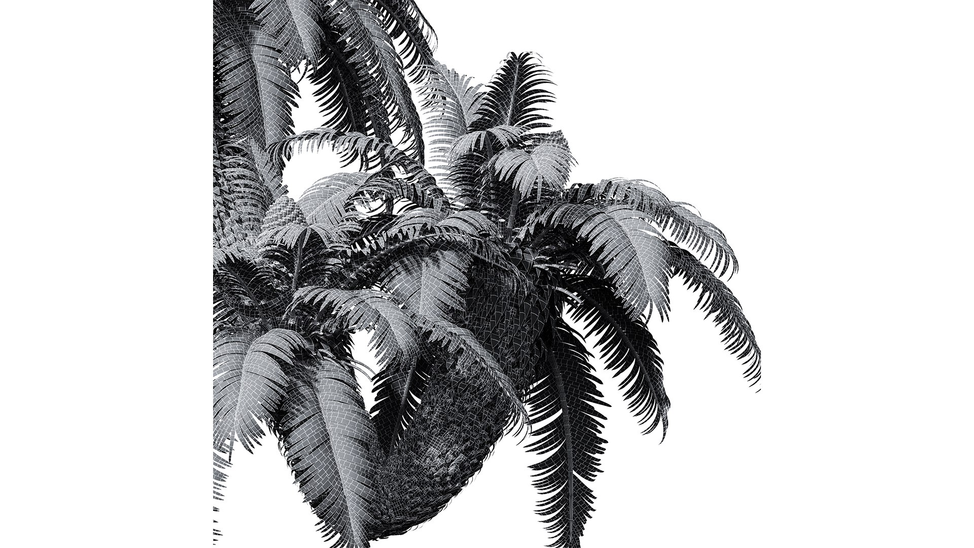 New Plant High Detail Cycas Revoluta Palmfarn Fruit 3D Model ...