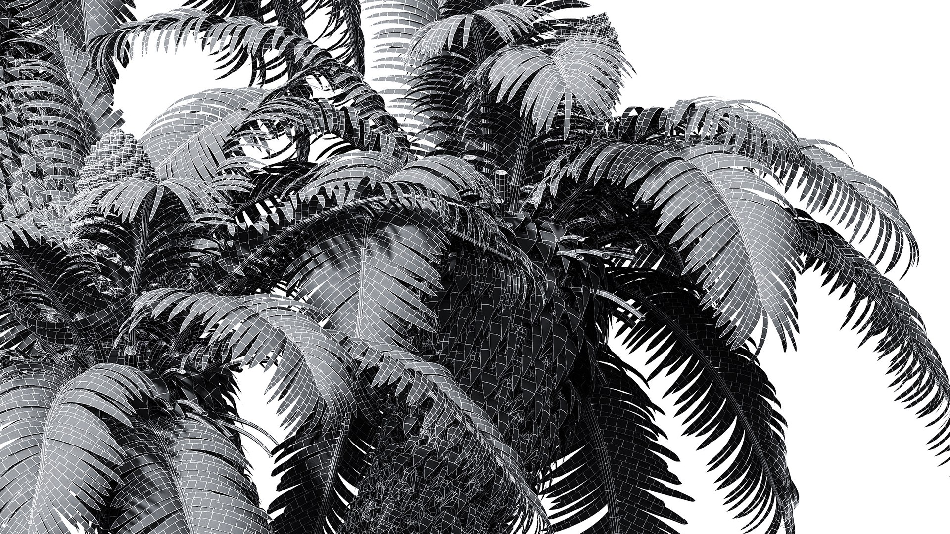 New Plant High Detail Cycas Revoluta Palmfarn Fruit 3D Model ...