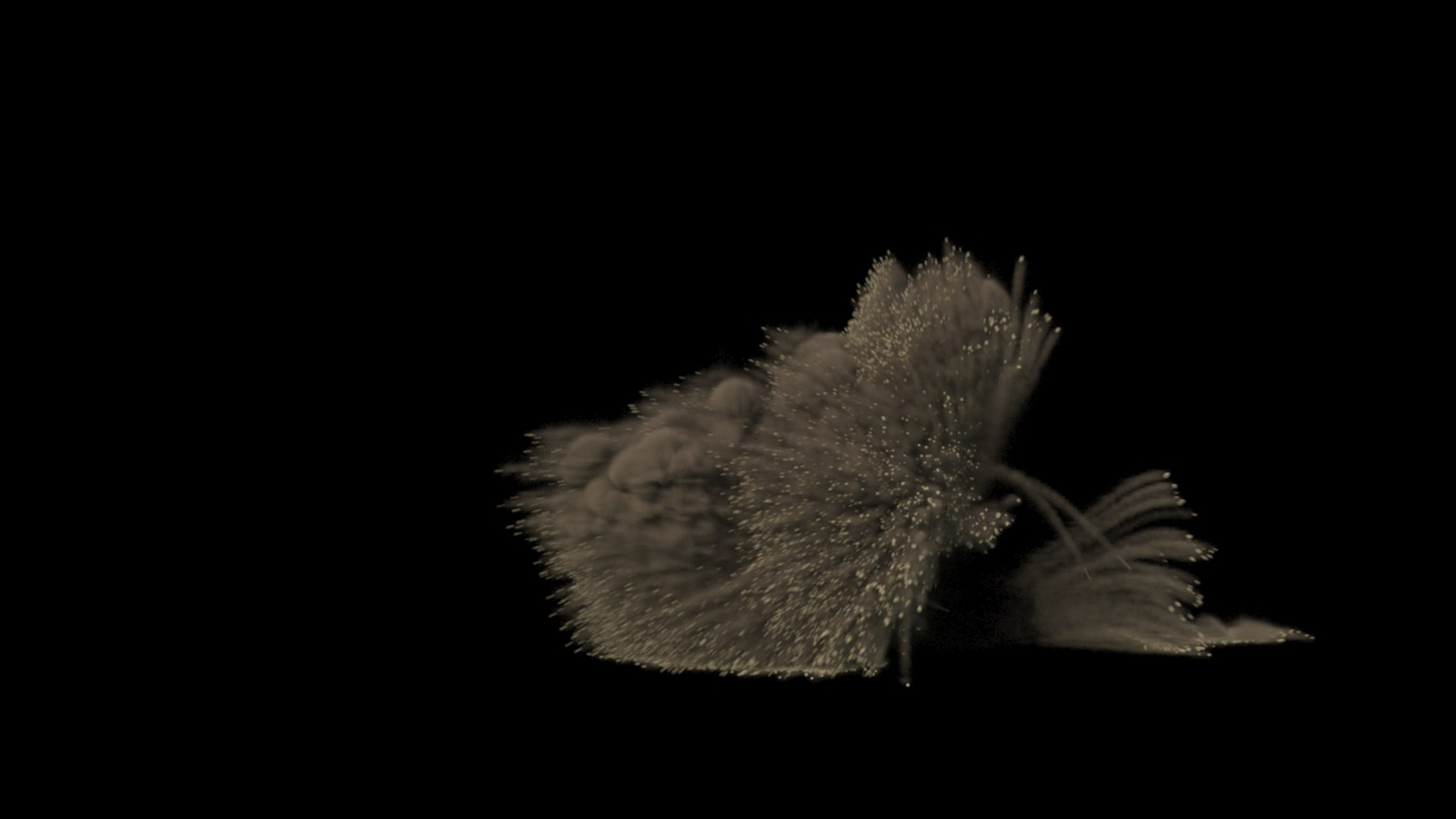 3D Sand Explosion Asset Houdini - TurboSquid 1312387